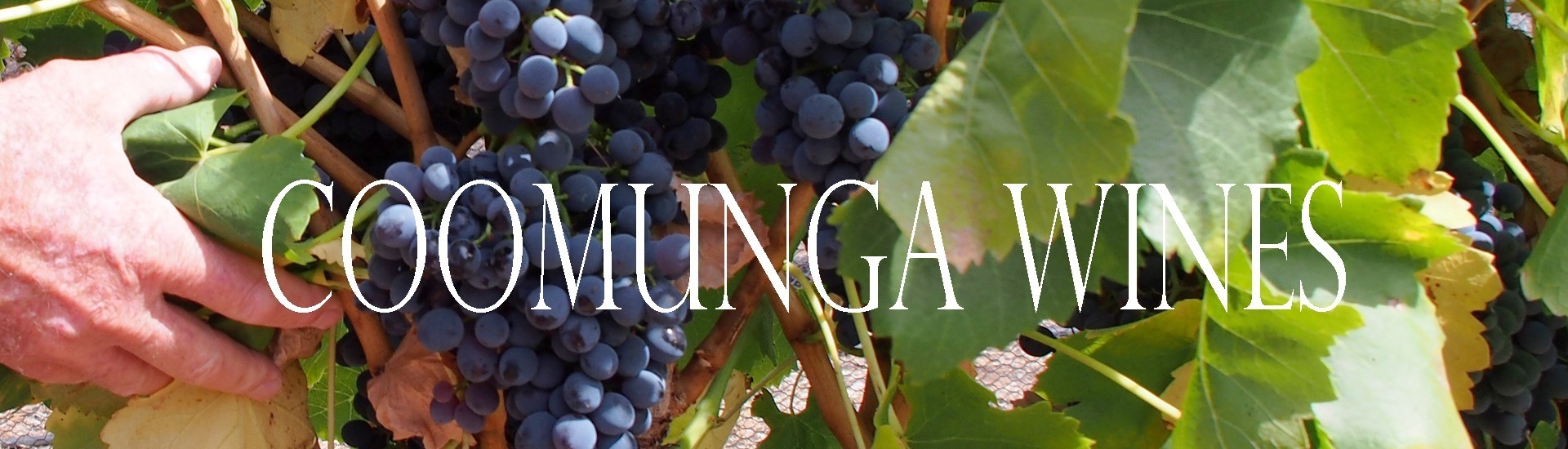 Coomunga Wines Port Lincoln